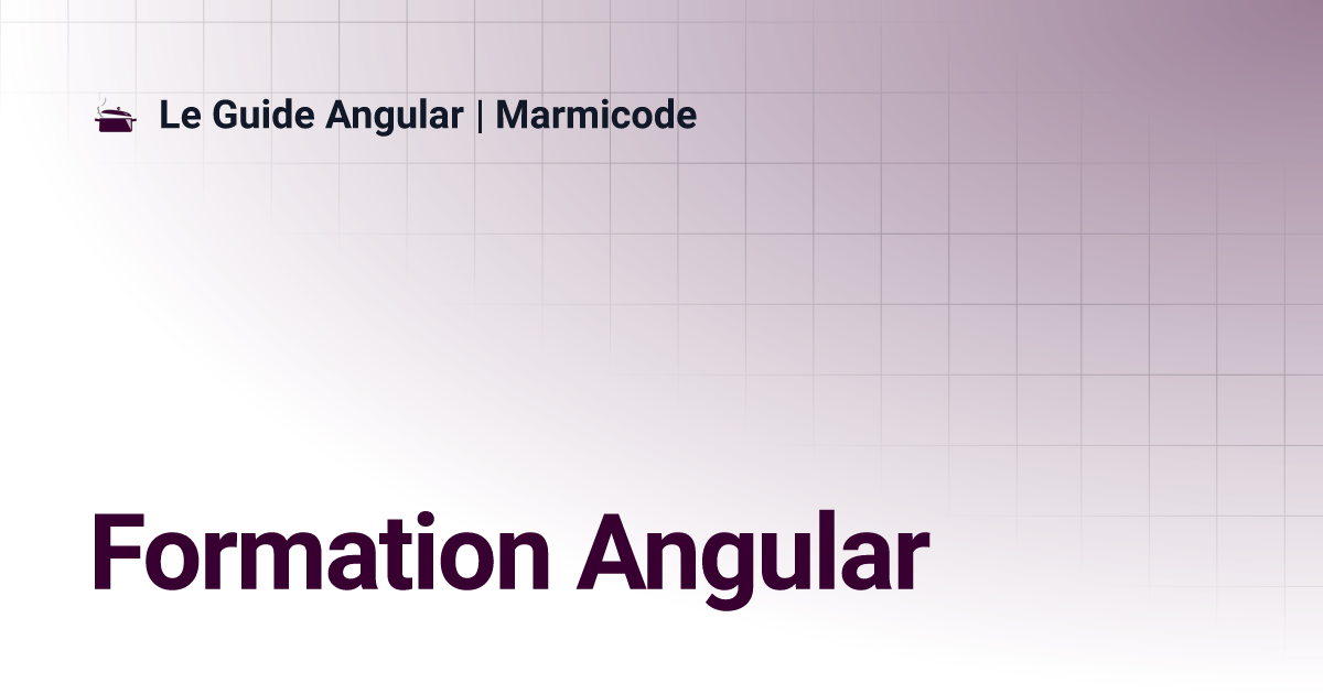 Formation Angular Le Guide Angular Marmicode 6105